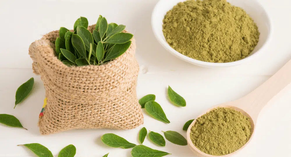How to dry Moringa leaves – The ultimate guide — RedMoringa